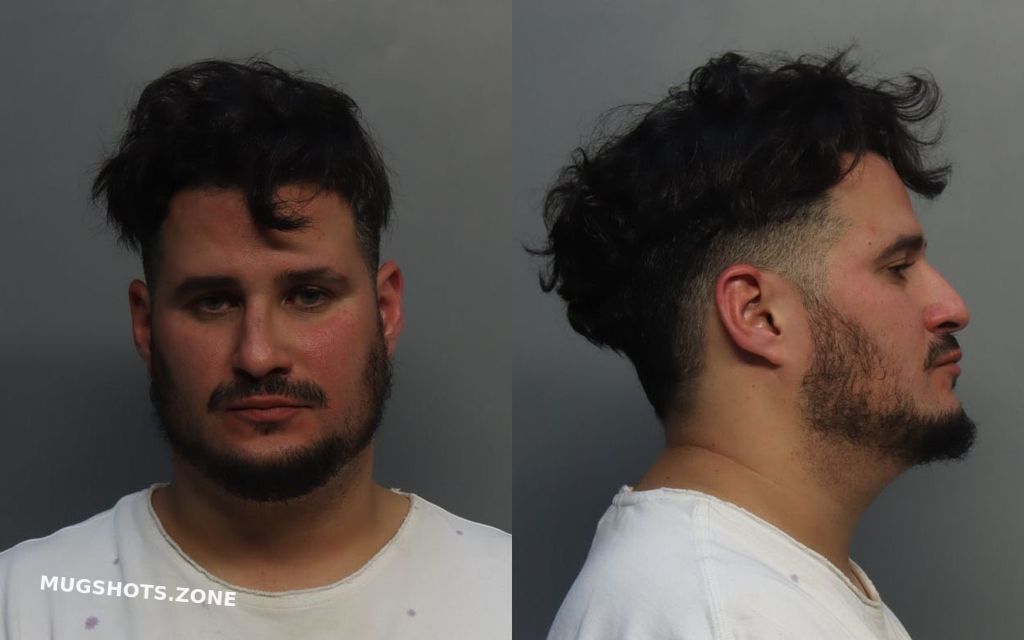 ALVAREZSORI LESTER GABRIEL 11/24/2024 - Miami-Dade County Mugshots Zone