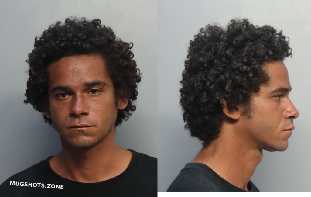 RHEA JONATHAN LEE 11/24/2024 - Miami-Dade County Mugshots Zone