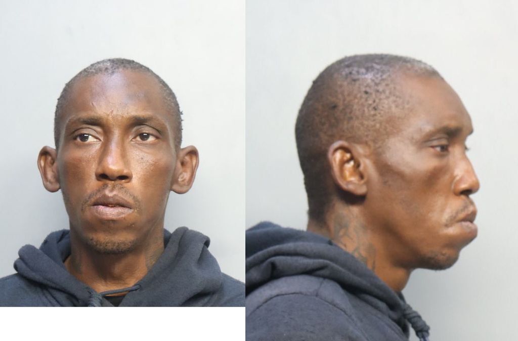 WARREN JOSEPH DEMETAIUS 12/02/2024 - Miami-Dade County Mugshots Zone