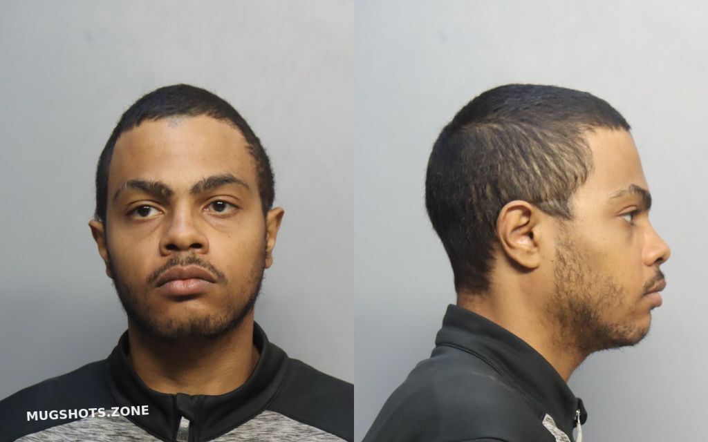 CHERRY PRIEST 12/05/2024 - Miami-Dade County Mugshots Zone