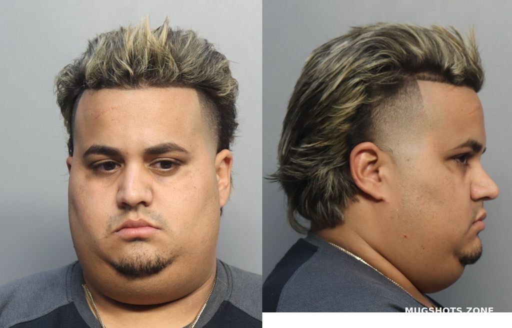 SANCHEZ-HERNANDEZ JOSE L 12/05/2024 - Miami-Dade County Mugshots Zone