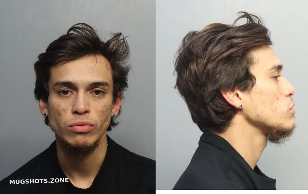 PARSON DANIEL DAVID 12/09/2024 - Miami-Dade County Mugshots Zone