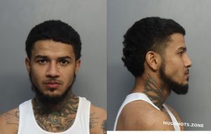 COLLAZO DAMIAN RICHIE 12/09/2024 - Miami-Dade County Mugshots Zone