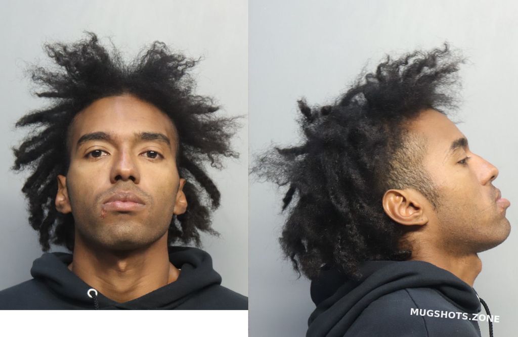CASTILLO CARLOS 12/11/2024 - Miami-Dade County Mugshots Zone