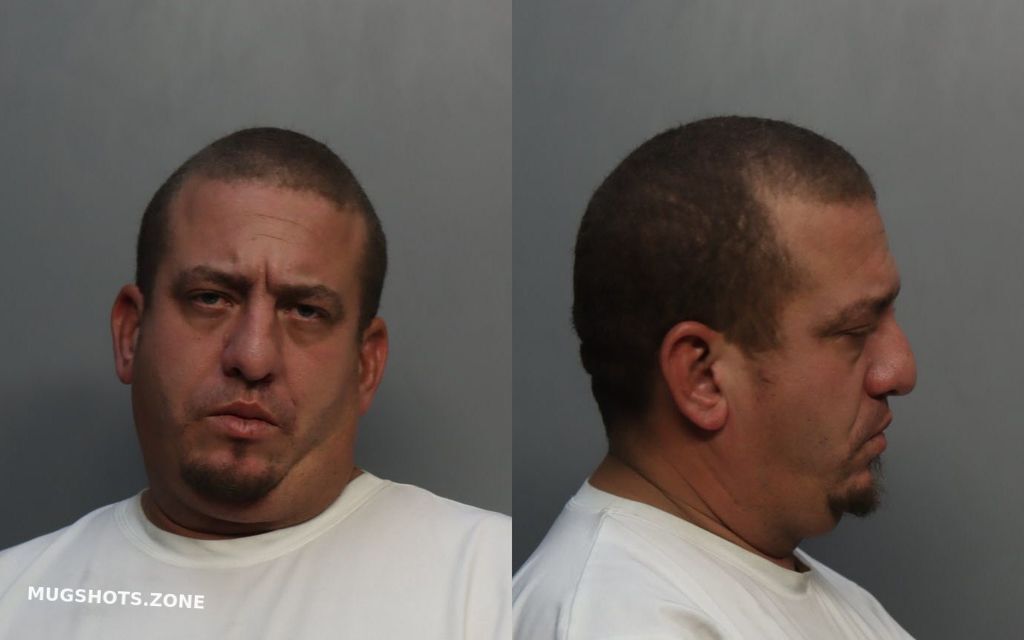 SUAREZ MICHEL 12/15/2024 - Miami-Dade County Mugshots Zone