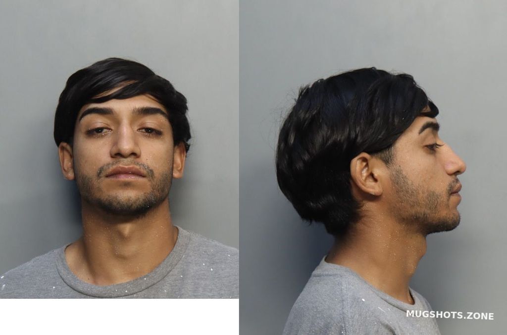 PALACIOSBUGUENO BRAYAN ALEJANDRO 12/15/2024 - Miami-Dade County ...