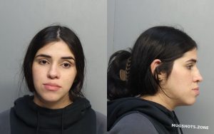 PEREZ MELISSA PERLA 12/20/2024 - Miami-Dade County Mugshots Zone