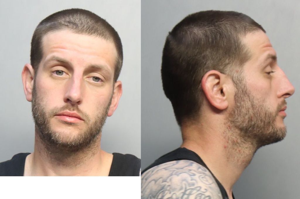 DUNSTON DILLON P 12/21/2024 - Miami-Dade County Mugshots Zone