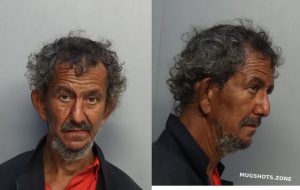 DIAZ FELIPE 12/23/2024 - Miami-Dade County Mugshots Zone