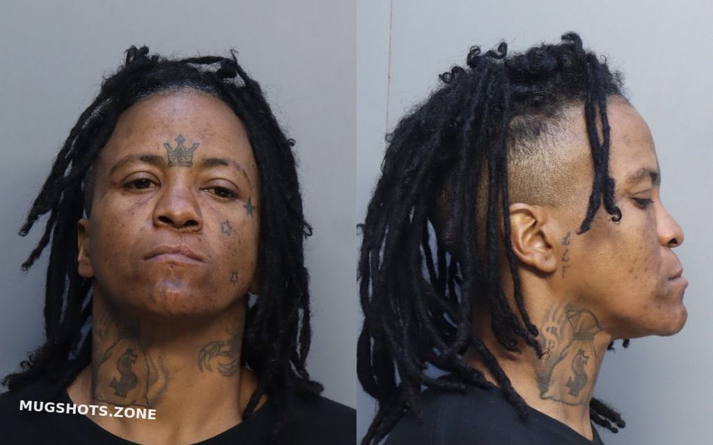 CASTILLO ANA 12/29/2024 - Miami-Dade County Mugshots Zone