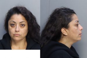 GRIGORESCU NADIA 12/31/2024 - Miami-Dade County Mugshots Zone