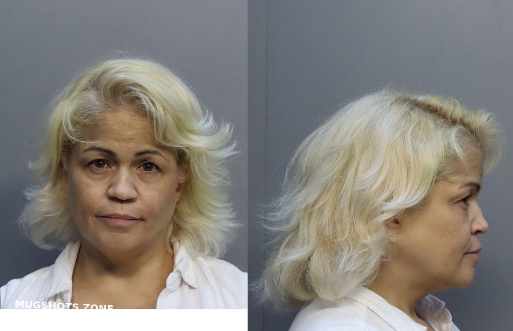 PEREZ PATRICIA 01/15/2025 - Miami-Dade County Mugshots Zone