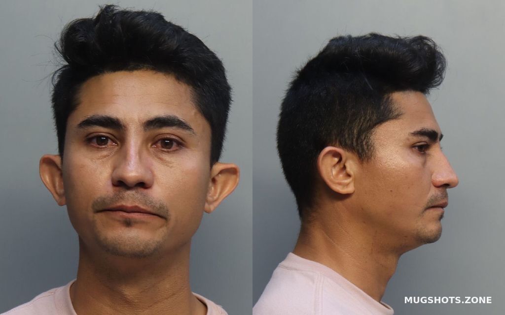ALEJO SERGIO ROBERTO 01/19/2025 - Miami-Dade County Mugshots Zone