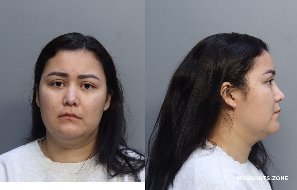 MARTINEZ-CASTILLO AUREN DAIYANA 01/22/2025 - Miami-Dade County Mugshots ...