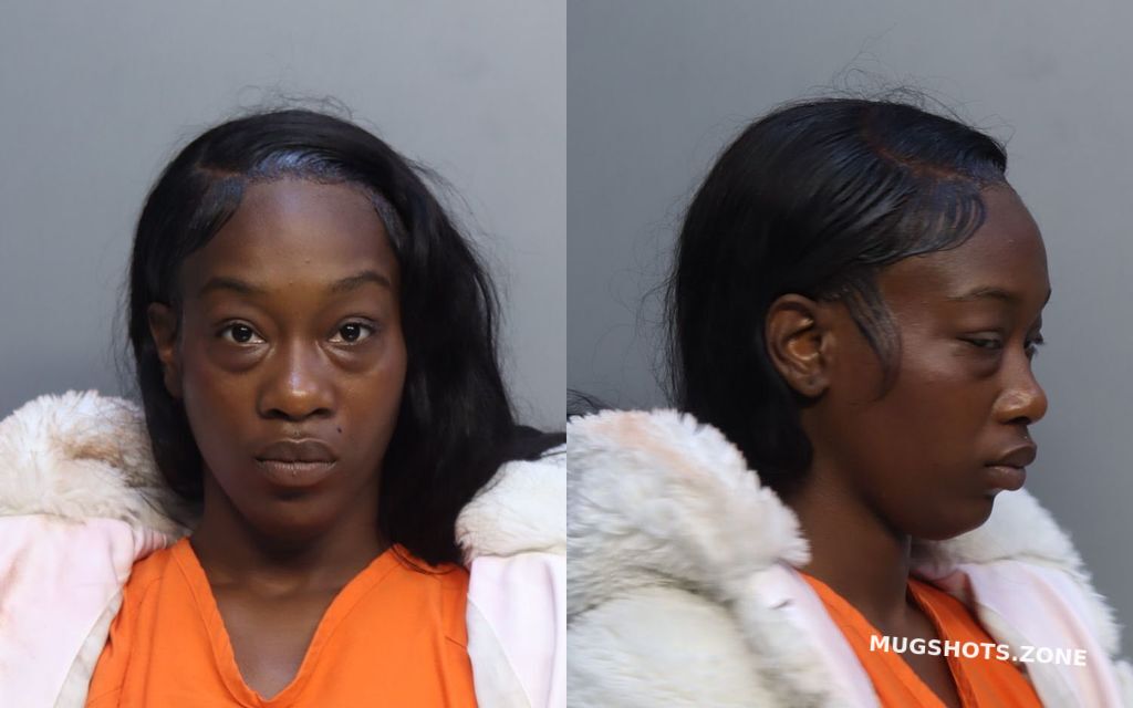 DAVIS AMAYA 01/22/2025 - Miami-Dade County Mugshots Zone