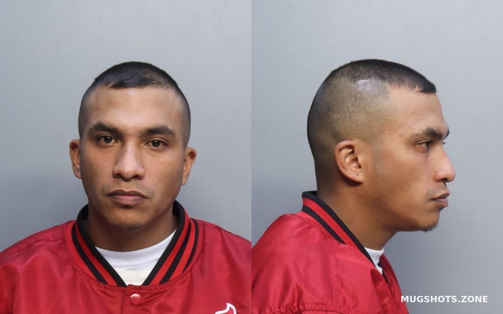 CASTANEDA DAMIAN ALBERTO 01/24/2025 - Miami-Dade County Mugshots Zone