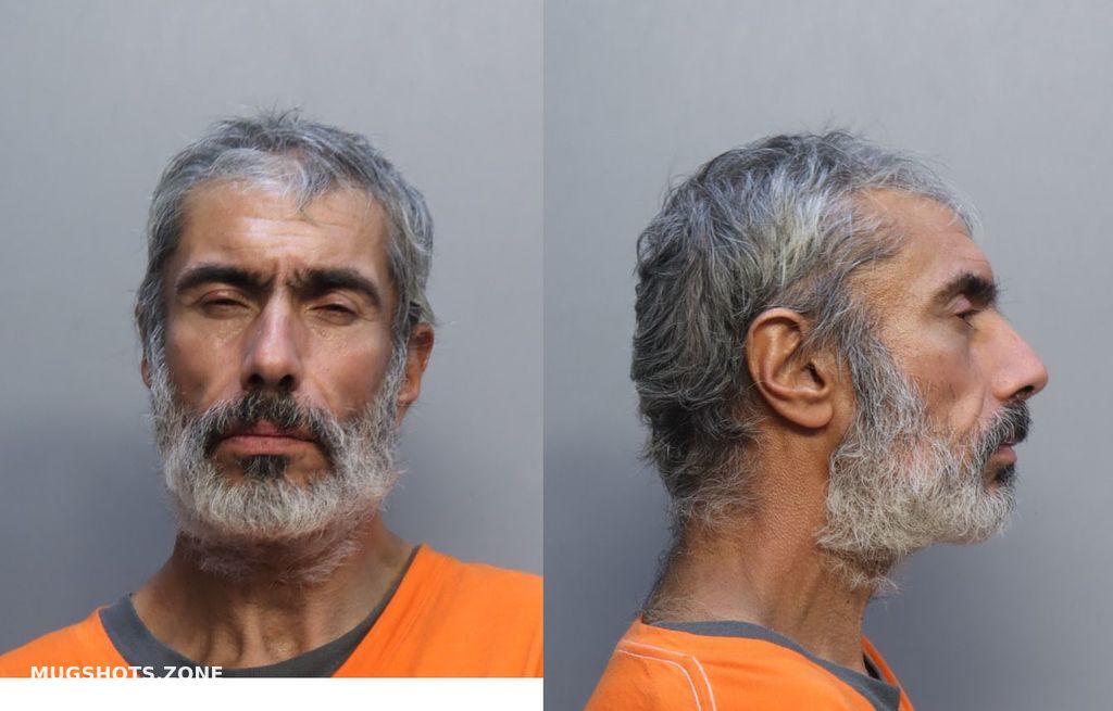 MAYERHOFER MICHAEL WILLIAM 01/28/2025 - Miami-Dade County Mugshots Zone