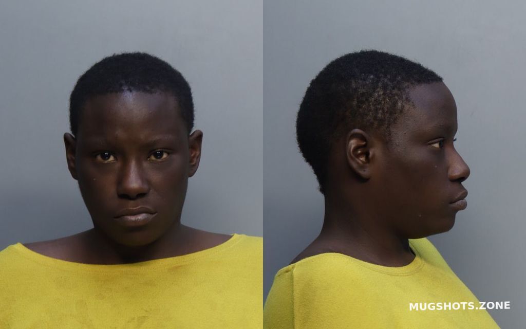 WILLIAMS IDA MAE 01/28/2025 - Miami-Dade County Mugshots Zone