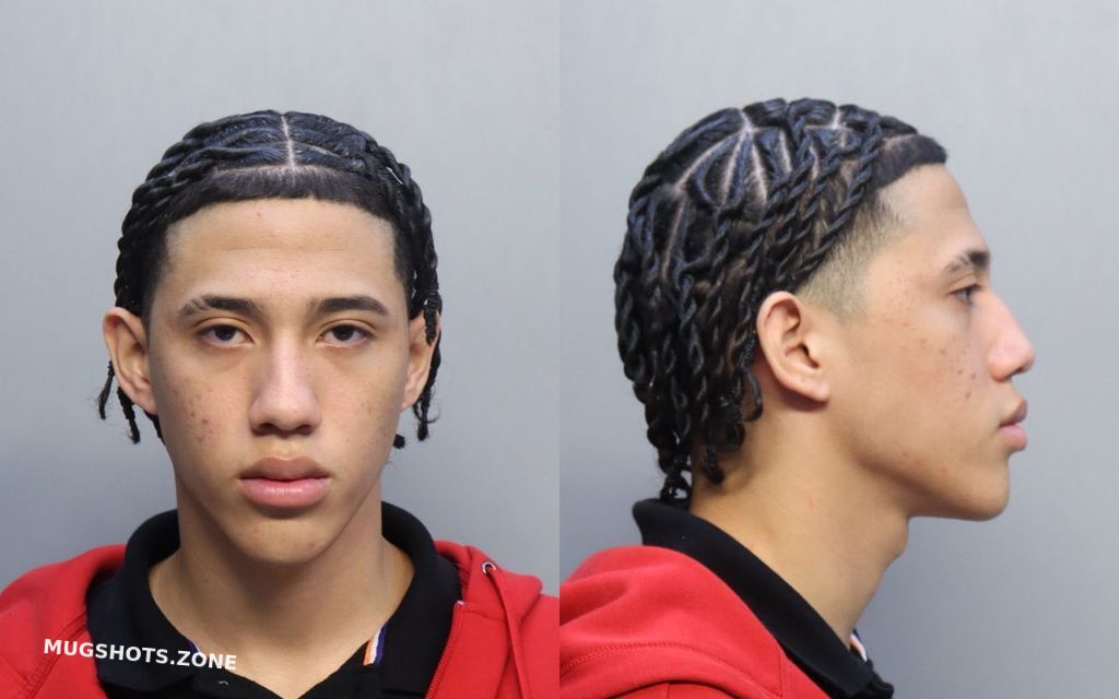 RAMOS-LOPEZ CHRISTOPHER ALESSAN 01/28/2025 - Miami-Dade County Mugshots ...