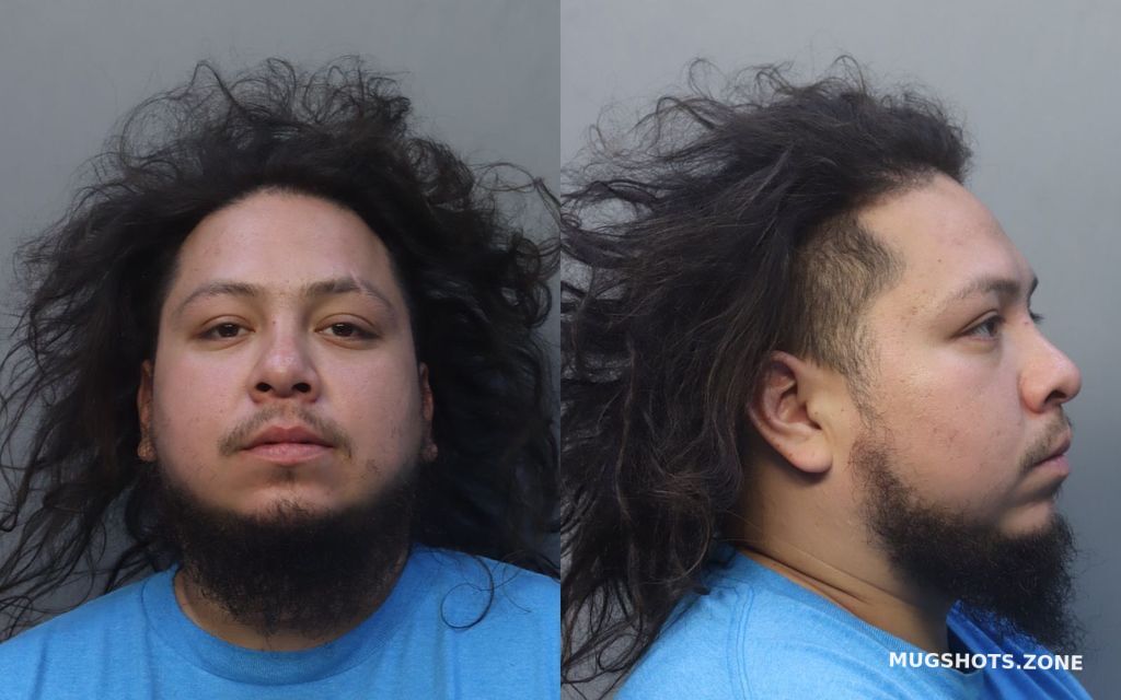 MOLINA MICHAEL JOSE 01/31/2025 - Miami-Dade County Mugshots Zone