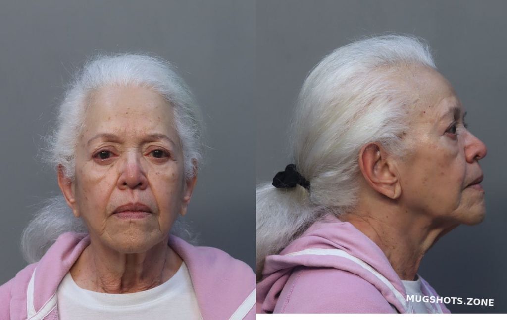 PEREZ ARILDA 02/01/2025 - Miami-Dade County Mugshots Zone