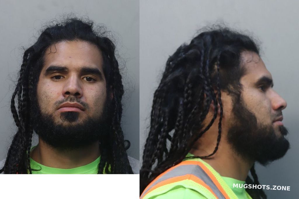 VILLARREAL DANIEL 02/03/2025 - Miami-Dade County Mugshots Zone