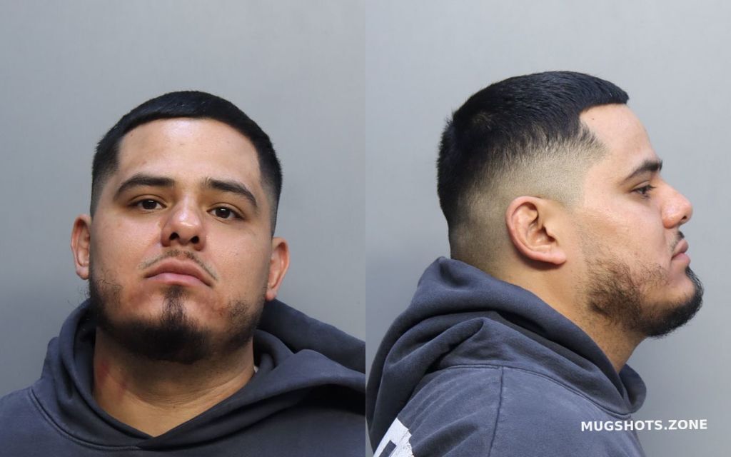 CASTRO GLEN ALEXANDER 02/04/2025 - Miami-Dade County Mugshots Zone
