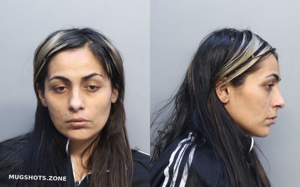 COSTA APPLE 02/05/2025 - Miami-Dade County Mugshots Zone