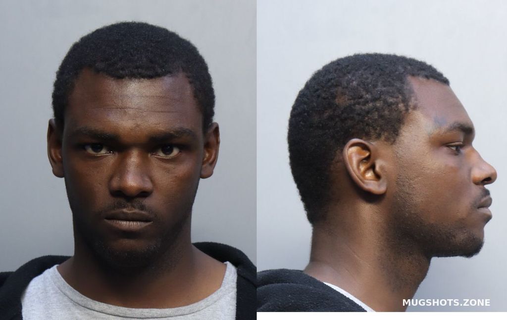 WILLIAMS QUENTIN LIONEL 02/05/2025 - Miami-Dade County Mugshots Zone