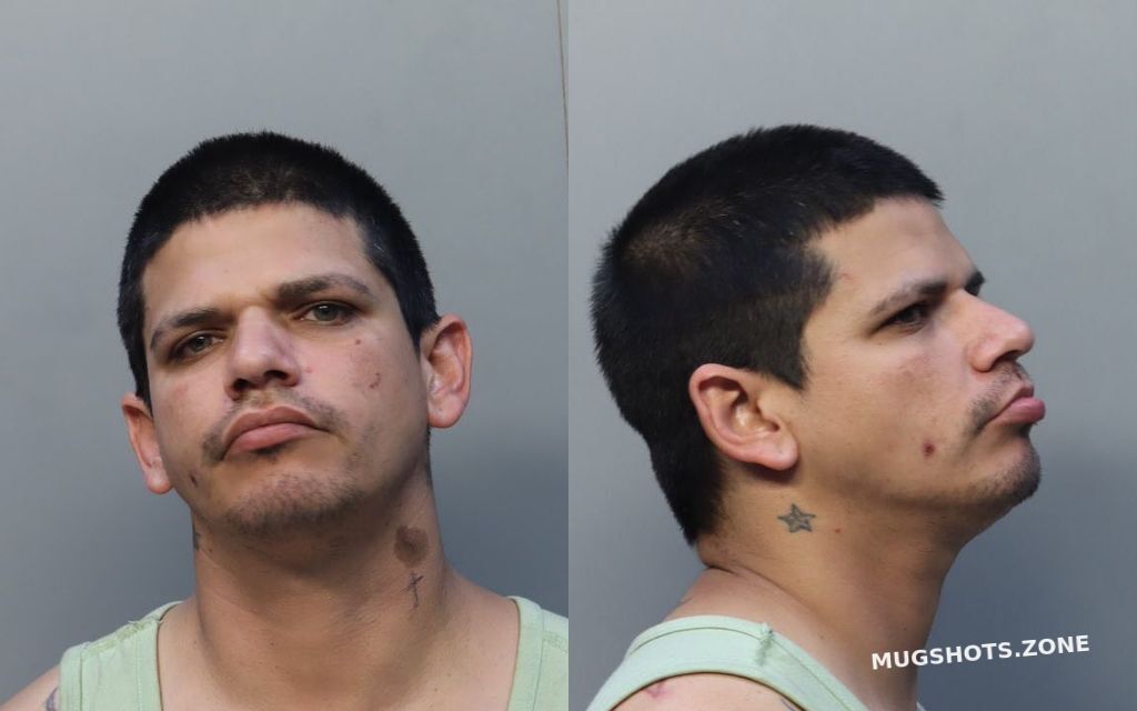 NUNEZ-MARTINEZ JOSE LUIS 02/06/2025 - Miami-Dade County Mugshots Zone NUNEZ-MARTINEZ JOSE LUIS 02/06/2025 - Miami-Dade County Mugshots Zone