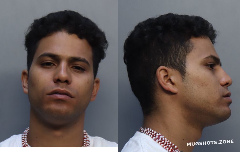 MIRANDAFERNANDEZ IAN 02/08/2025 - Miami-Dade County Mugshots Zone