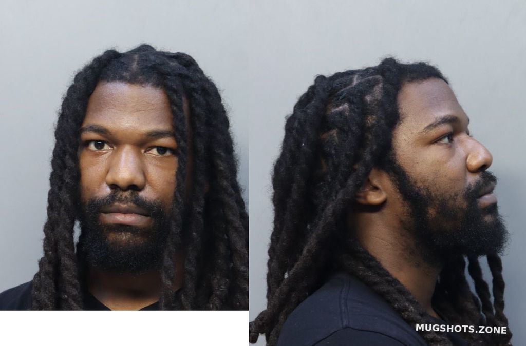 LEVY GEORGE DAMIAN 02/11/2025 - Miami-Dade County Mugshots Zone
