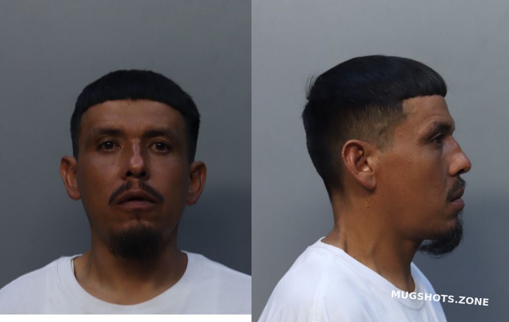 JIMENEZ EDGAR 02/11/2025 - Miami-Dade County Mugshots Zone