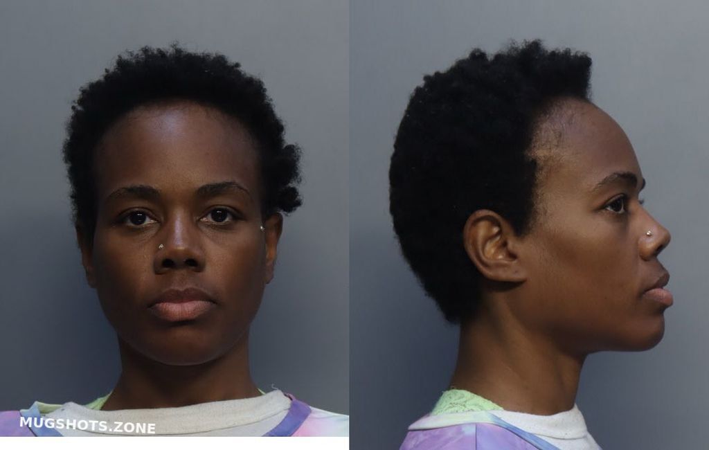 ROBINSON PIERRA 02/11/2025 - Miami-Dade County Mugshots Zone