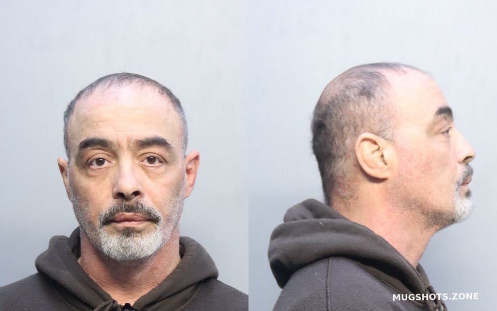 ARCHER LOUIS 02/12/2025 - Miami-Dade County Mugshots Zone