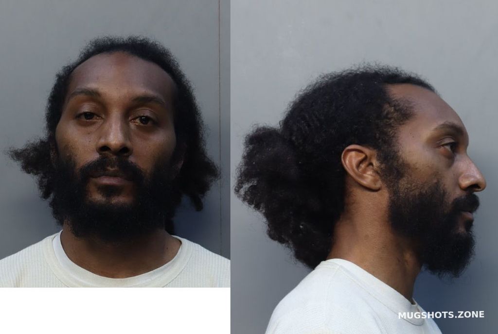 JOHNSON ANDRES 02/13/2025 - Miami-Dade County Mugshots Zone