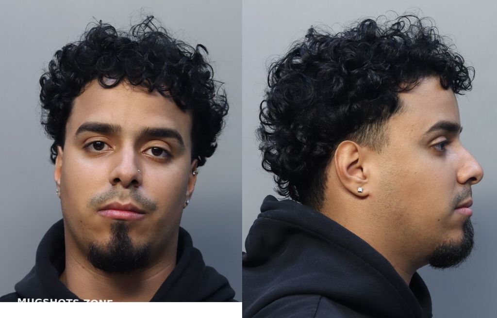 SILVA SEBASTIAN ROBERT 02/14/2025 - Miami-Dade County Mugshots Zone