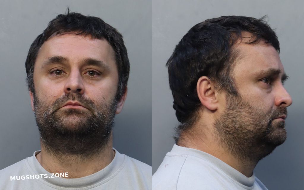 PAJOVIC IVAN 02/14/2025 - Miami-Dade County Mugshots Zone