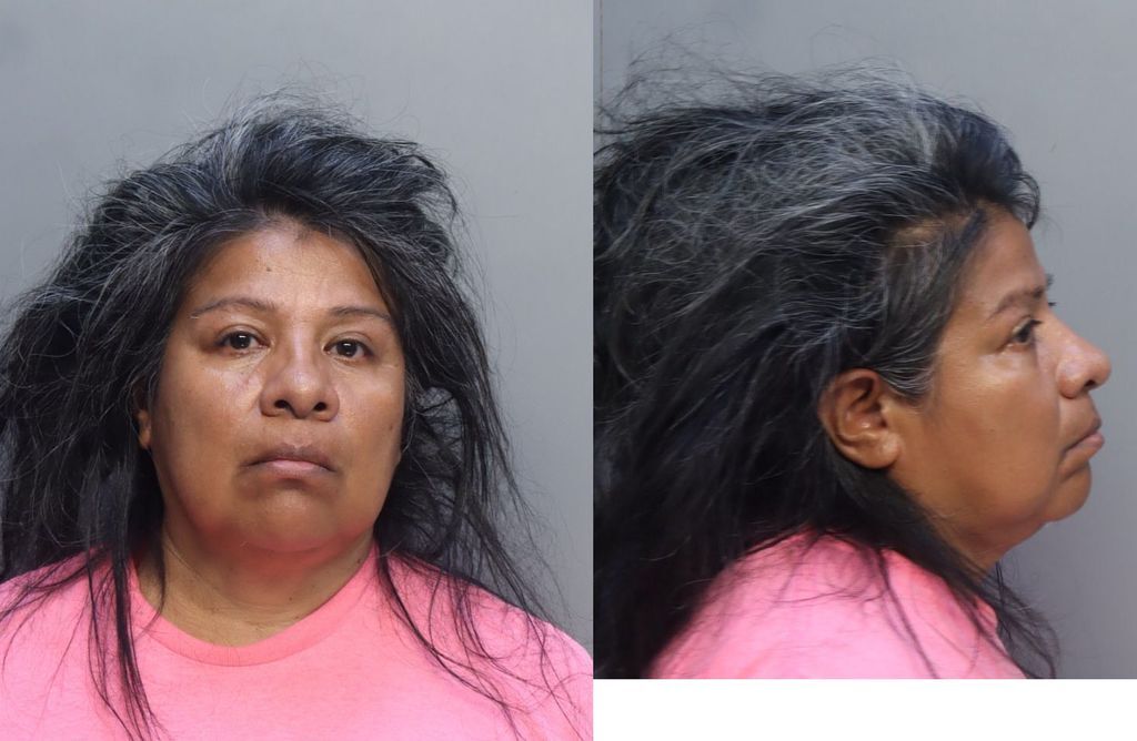 RIVERA SANDRA 02/15/2025 - Miami-Dade County Mugshots Zone