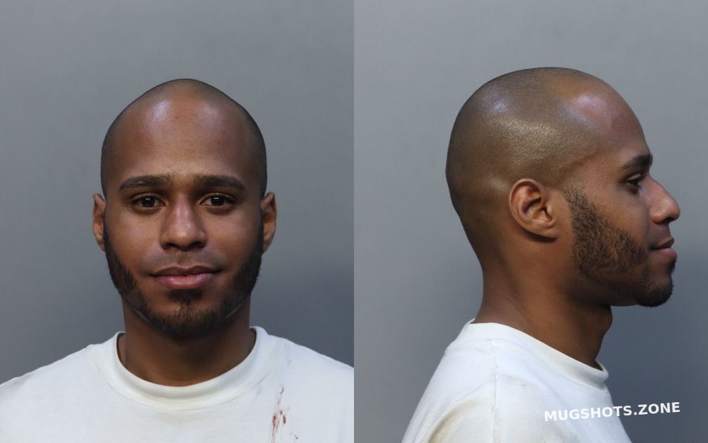 CASTILLOPIMENTEL CELIEL 02/15/2025 - Miami-Dade County Mugshots Zone