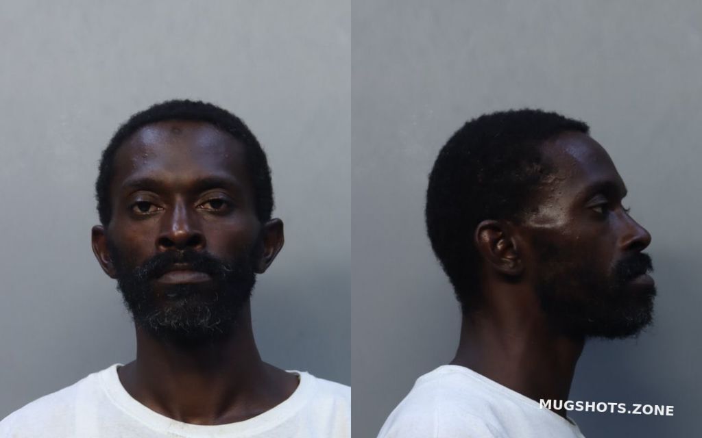 BROWN JAMES EDWARD 02/17/2025 - Miami-Dade County Mugshots Zone