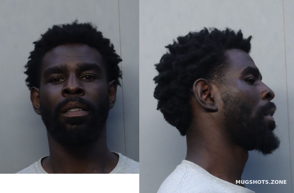 JOHNSON ERVING 02/19/2025 - Miami-Dade County Mugshots Zone