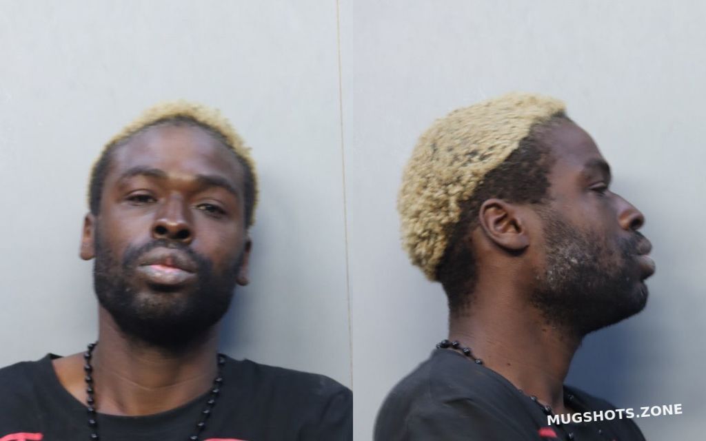 JOHNSON JERWAUNE PATRICKDAVID 02/20/2025 - Miami-Dade County Mugshots Zone