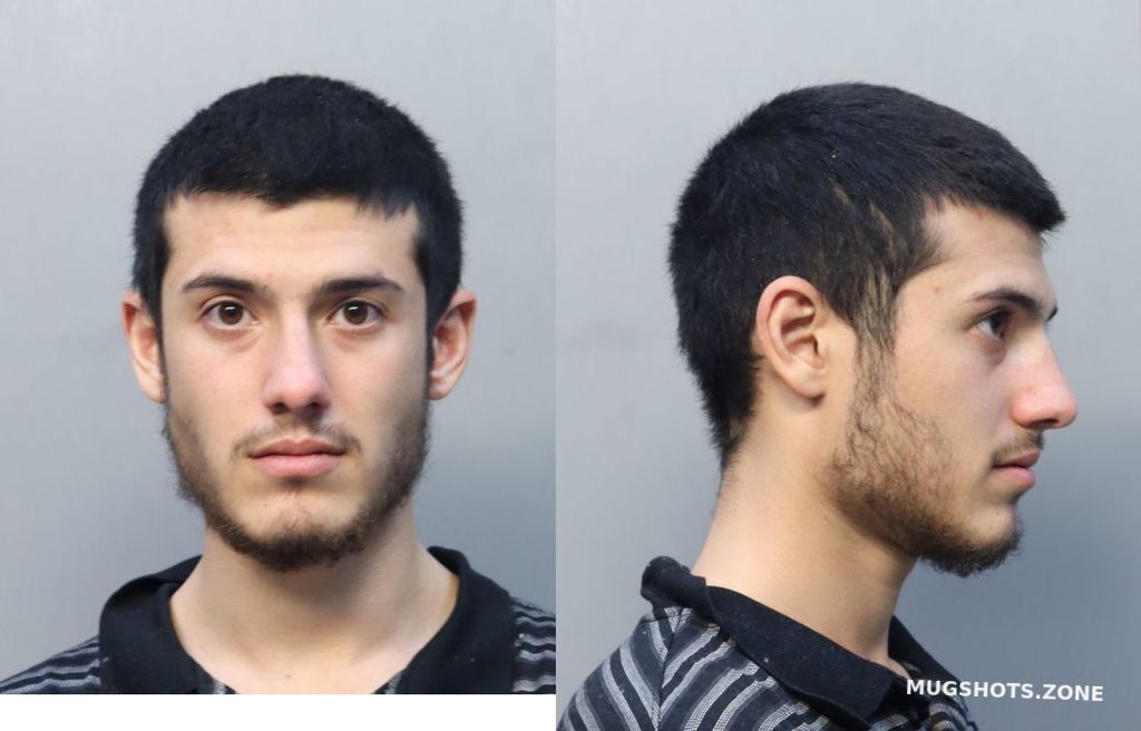 HORWITZ NOAH DARIO 02/20/2025 - Miami-Dade County Mugshots Zone