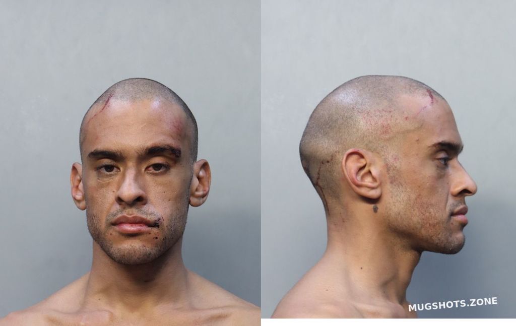 INNIS EDWIN ISMAEL 02/26/2025 - Miami-Dade County Mugshots Zone