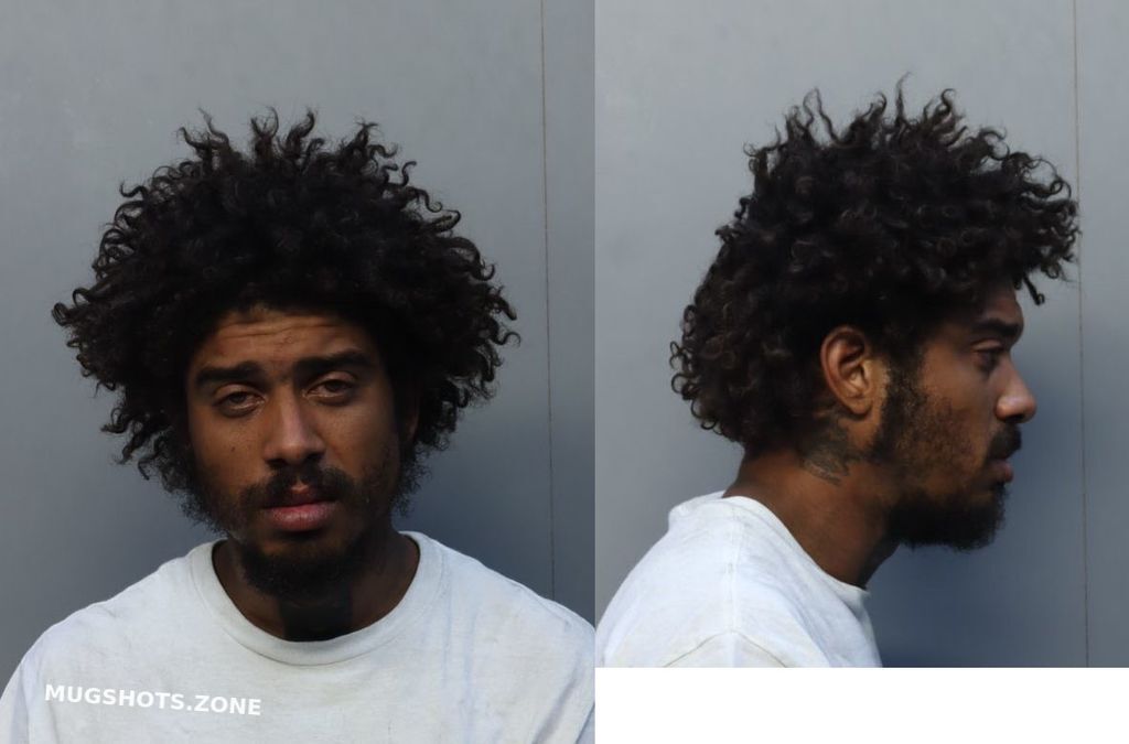 LEYVA ARIEL 03/02/2025 - Miami-Dade County Mugshots Zone