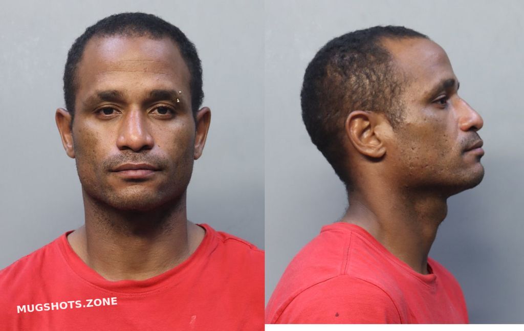 SOLIS RAYDEL 03/03/2025 - Miami-Dade County Mugshots Zone