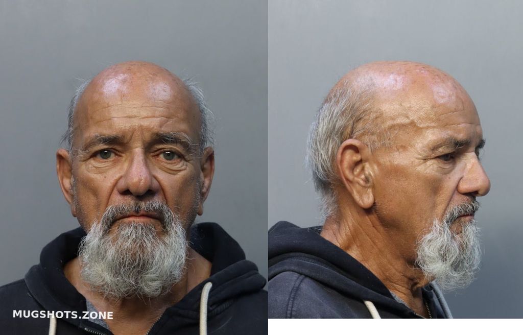 BRANDT FRANTZ WILLIAM 03/05/2025 - Miami-Dade County Mugshots Zone