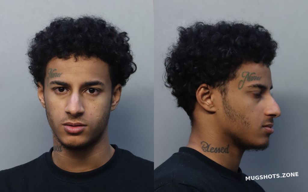 ROBLES ELIJAH 03/07/2025 - Miami-Dade County Mugshots Zone