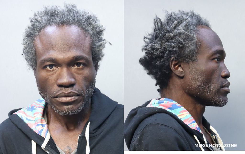 METAYER KENLE 03/07/2025 - Miami-Dade County Mugshots Zone